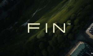 Fin Raises $17M to Launch Stablecoin Product for High-Value Payments ...